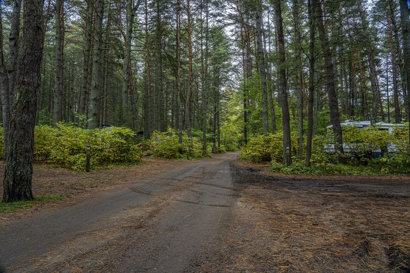 Scenic Dirt Road in Ontario, Canada HDRi Maps and Backplates