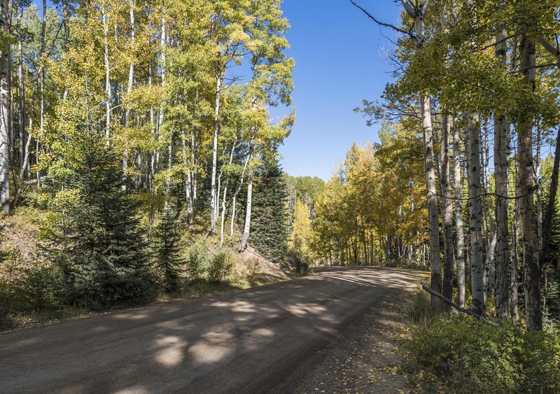 Scenic Drive Through Lush Forest HDRi Maps and Backplates