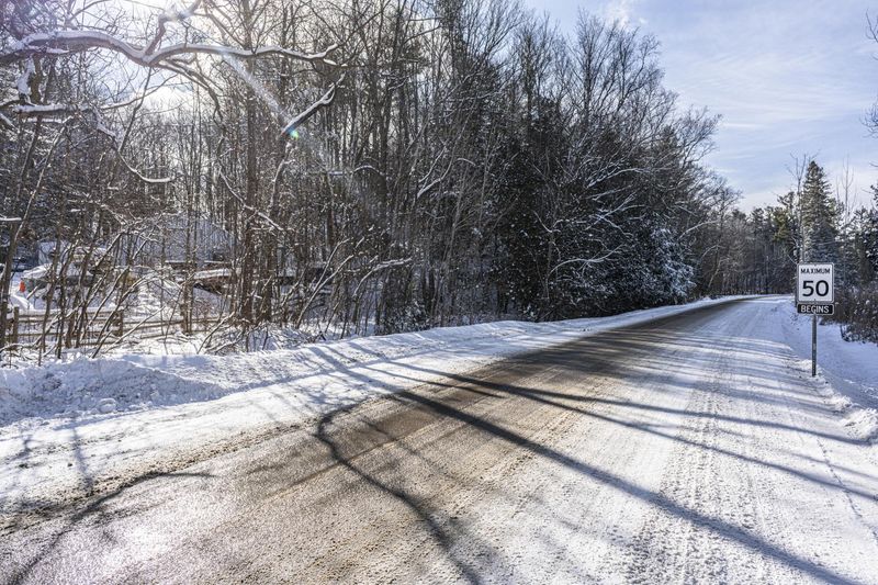 Scenic Forest Road in Canada: A Drive Through Nature HDRi Maps and ...