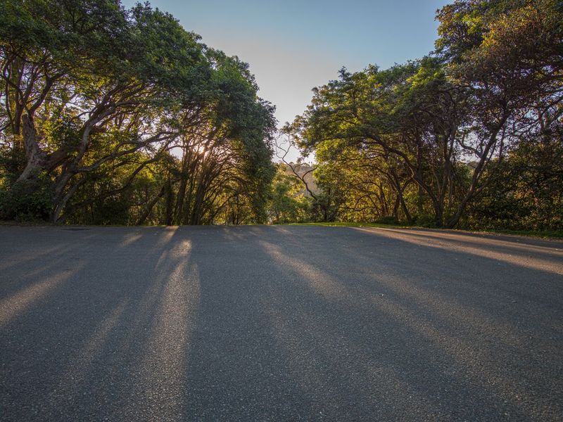 Scenic Landscape: Road Through Vegetated Hills HDRi Maps and Backplates