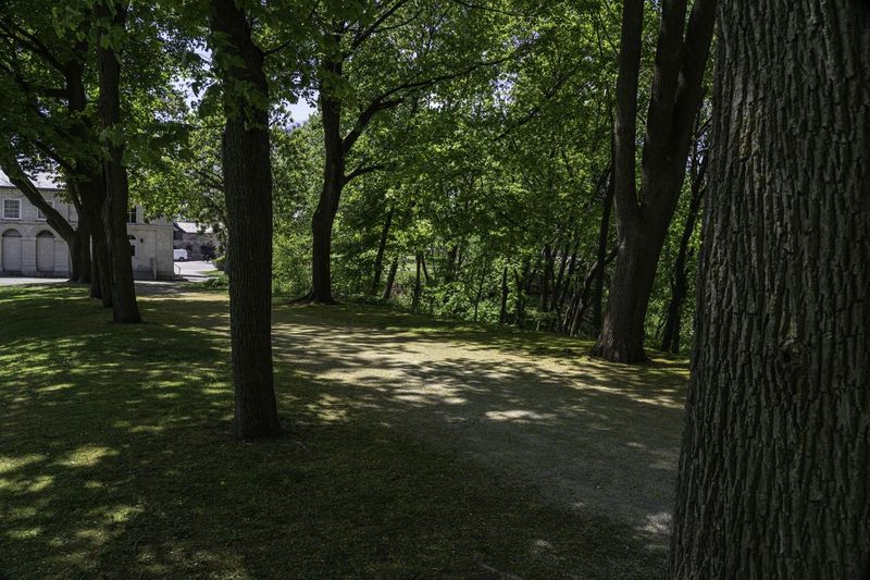 Scenic Landscape with Vegetation and Road in Hamilton, Ontario, Canada ...