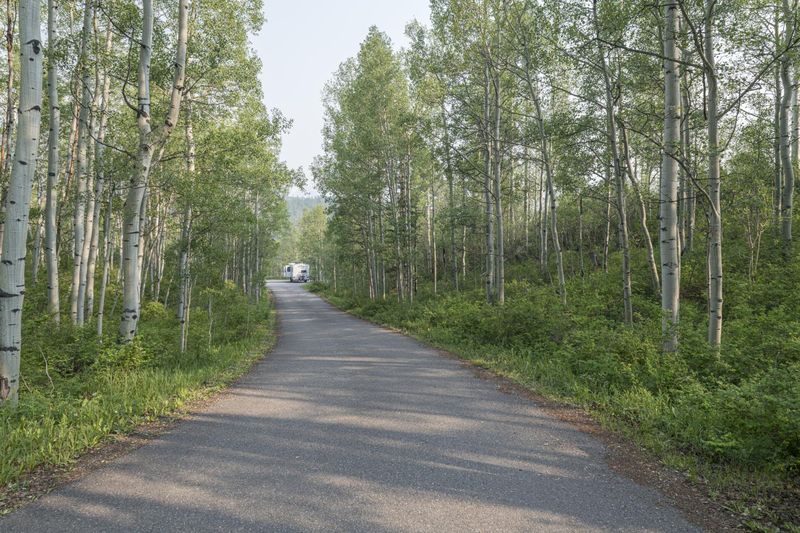 Scenic Road Through Colorado Forest and Mountain Landscape HDRi Maps ...