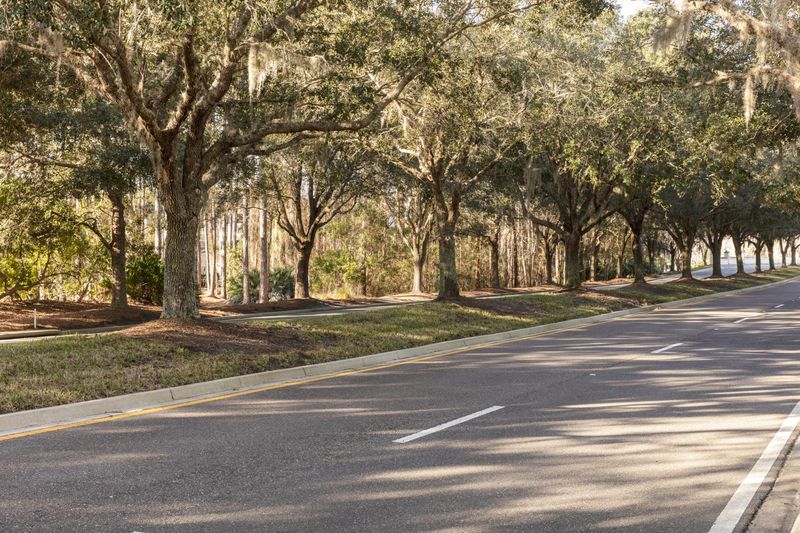 Scenic Road in Florida with Lush Green Grass and Trees HDRi Maps and ...