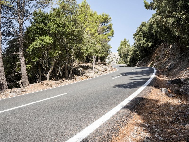 Scenic Road in Spain with Tall Trees HDRi Maps and Backplates