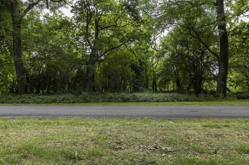 Scenic Road Through Green Forest HDRi Maps and Backplates