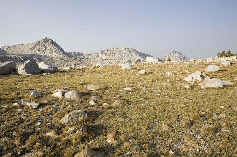 Scenic Rocky Field With Mountains and Trees