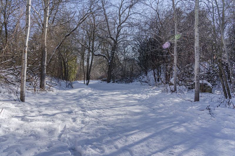 Scenic Winter Landscape in Ontario, Canada HDRi Maps and Backplates