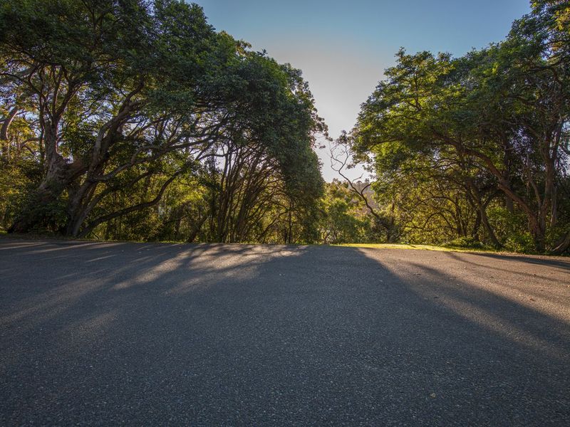 Scenic Wooded Road with Bench in the Shade HDRi Maps and Backplates