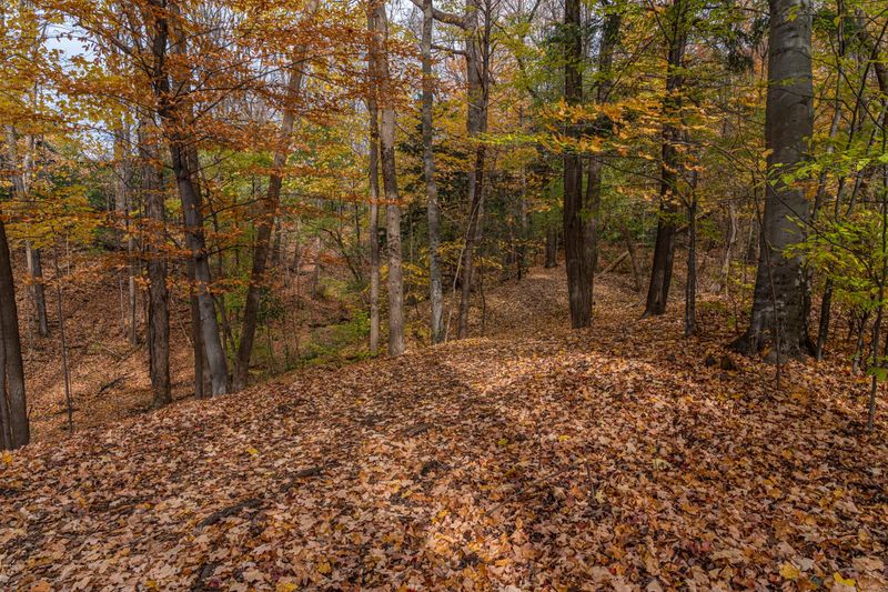 Secluded Forest Trail in Toronto, Ontario HDRi Maps and Backplates