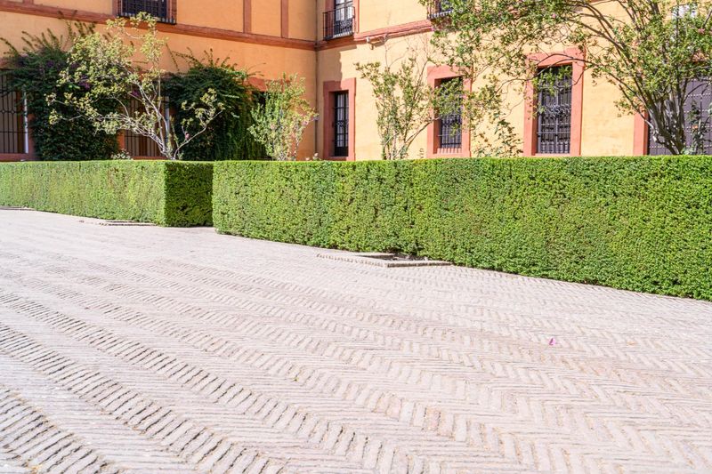 Seville City Architecture: Road View HDRi Maps and Backplates