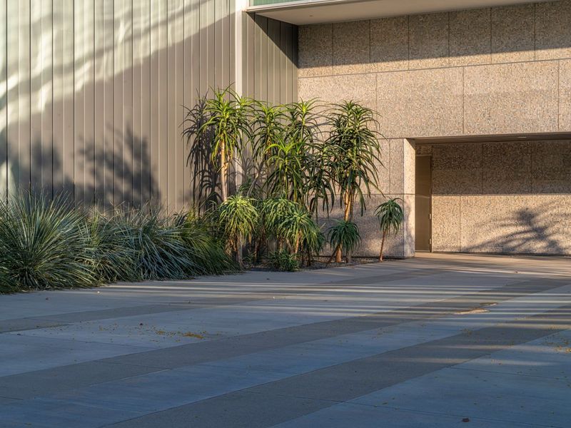 Skateboarder Riding Board on Sidewalk in Los Angeles HDRi Maps and ...