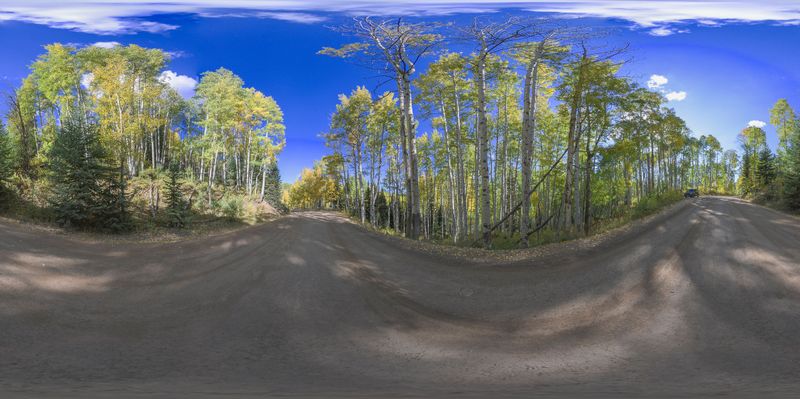 Skateboarding Through Forest Trail: A Thrilling Adventure HDRi Maps and ...
