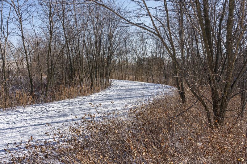 Snow Covered Path in a Canadian Forest HDRi Maps and Backplates