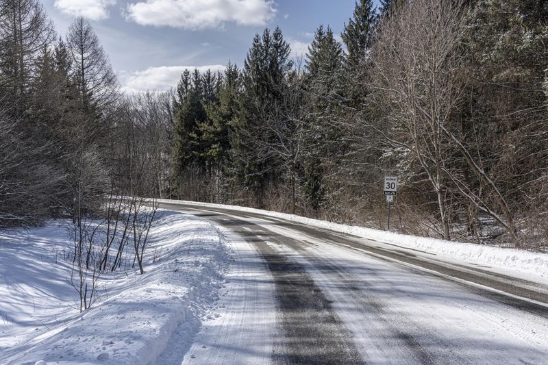 Snow Covered Road in Forest, Canadian Landscape HDRi Maps and Backplates