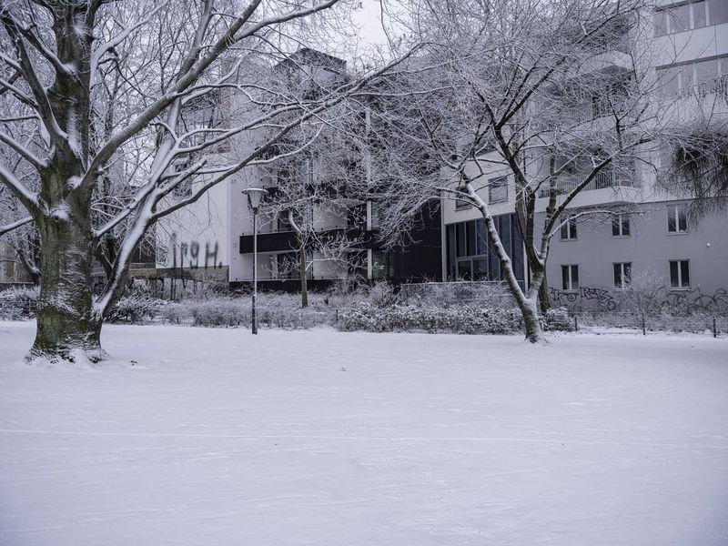 Snow-covered Trees and Buildings in Urban Neighborhood HDRi Maps and ...