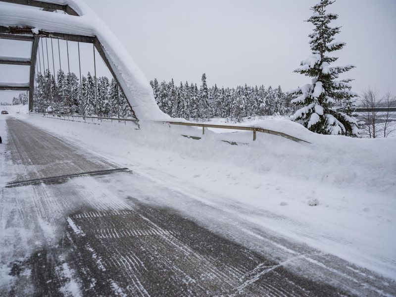 Snowy Bridge in Sweden with Snow Covered Trees HDRi Maps and Backplates
