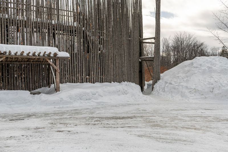 Snowy Rural Scene in Canada HDRi Maps and Backplates