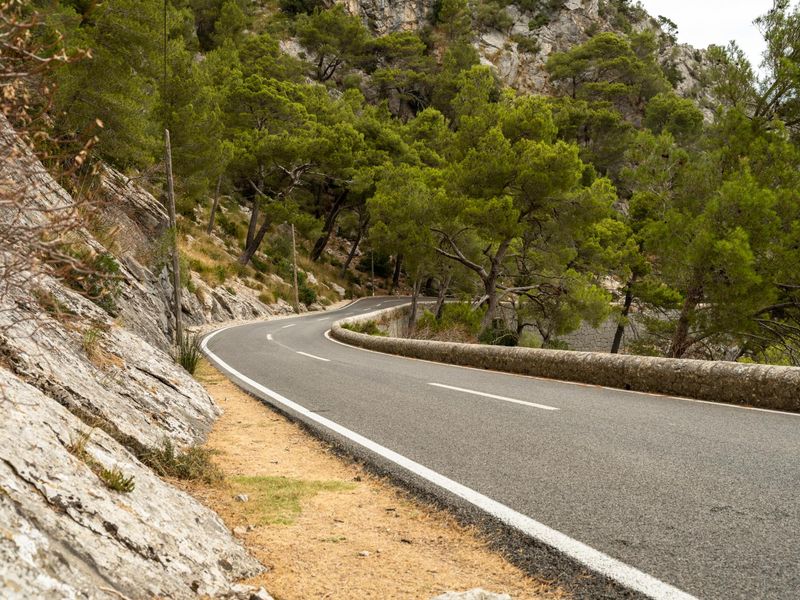 Road in Spain: Asphalt Landscape during the Day HDRi Maps and Backplates