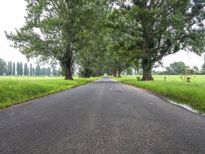 Straight Road in Bega Valley, New South Wales, Australia HDRi Maps and ...