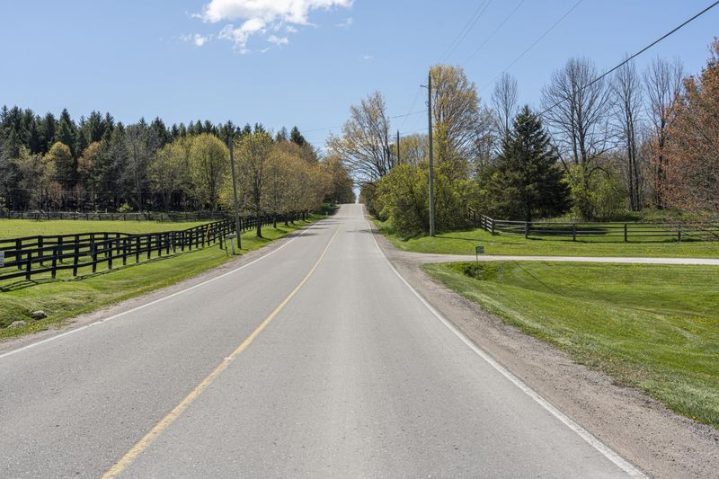 A Straight Road in Ontario: Lush Green Landscape HDRi Maps and Backplates