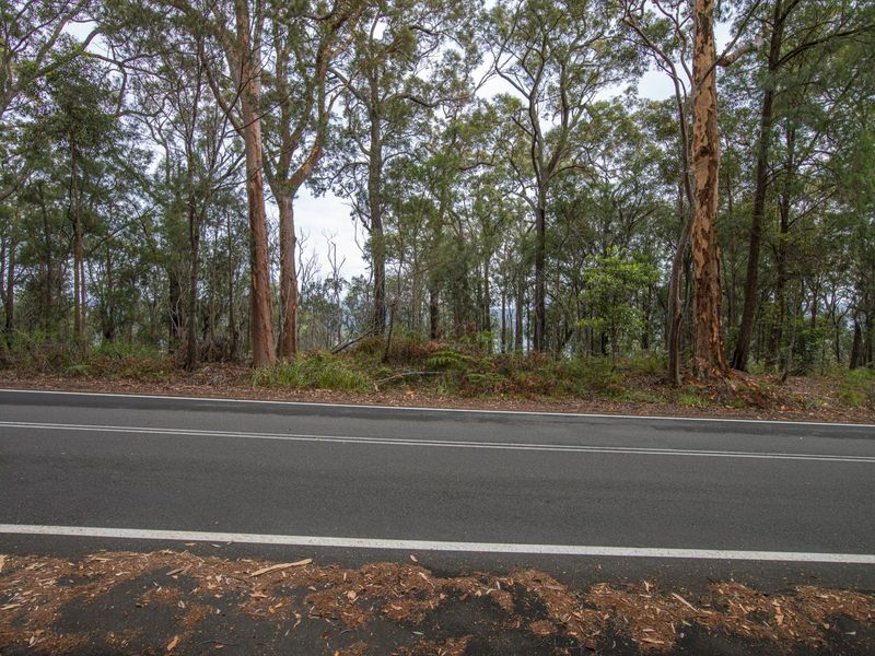 Suburban Landscape: Road Covered in Asphalt and Lined with Trees HDRi ...