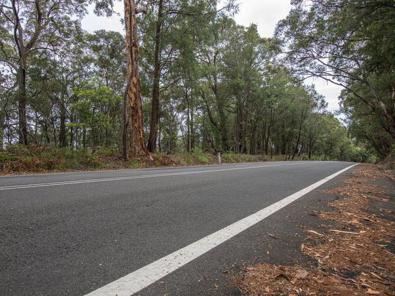 Suburban Landscape: Roads Lined with Trees and Vegetation HDRi Maps and ...
