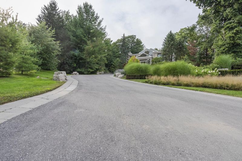 Suburban Road on a Clear Day with Lush Trees HDRi Maps and Backplates