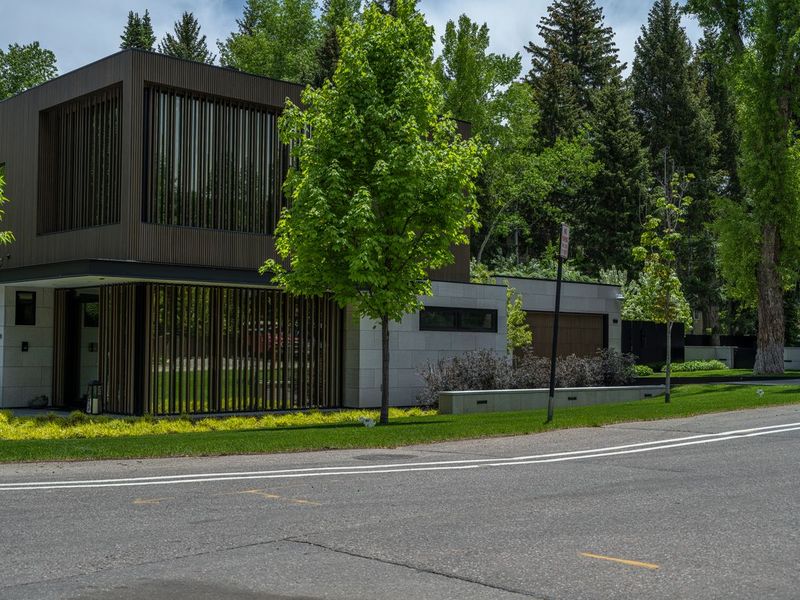 Suburban USA: Vibrant Aspen Trees in View HDRi Maps and Backplates