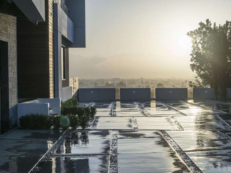 Sunlight Reflection on Wet Urban Ground with Buildings and Trees | Los ...