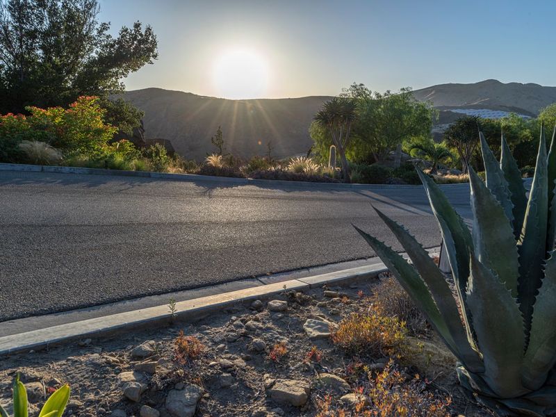 Sunny California Desert Landscape with Succulent Cactus HDRi Maps and ...