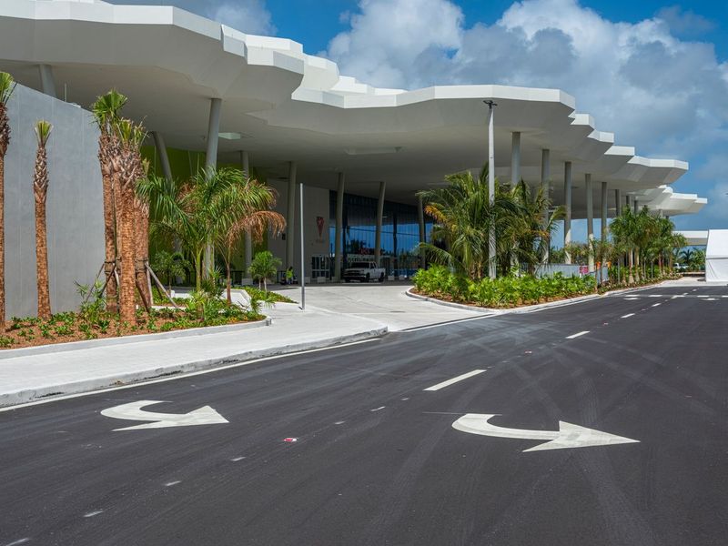 Sunny Miami, Florida: Palm Trees HDRi Maps and Backplates