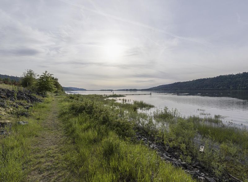 Sunset Bike Ride Along River Path HDRi Maps and Backplates