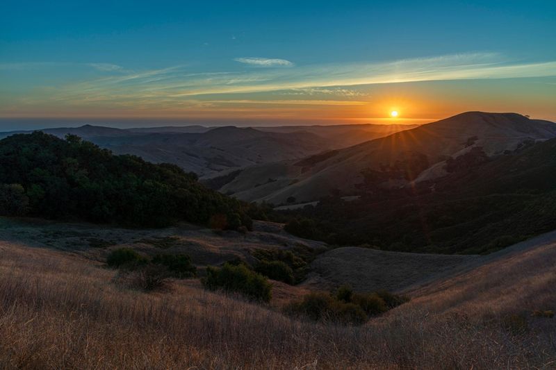 Sunset Hillside View with Trees HDRi Maps and Backplates