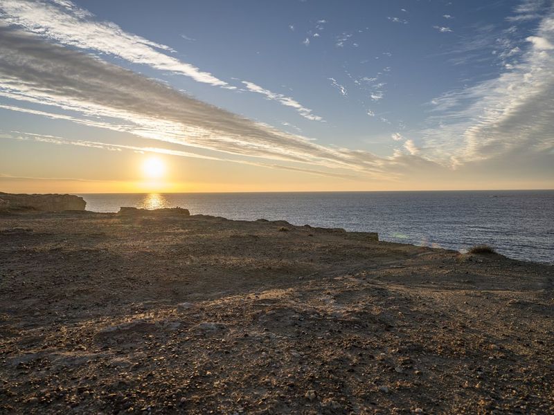 Sunset Overlooking the Ocean with a Horse on a Rocky Cliff and Dog in ...