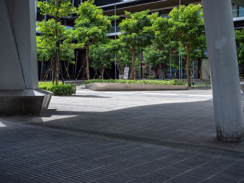 Taipei Taiwan Cityscape with Tree-lined Sidewalk HDRi Maps and Backplates