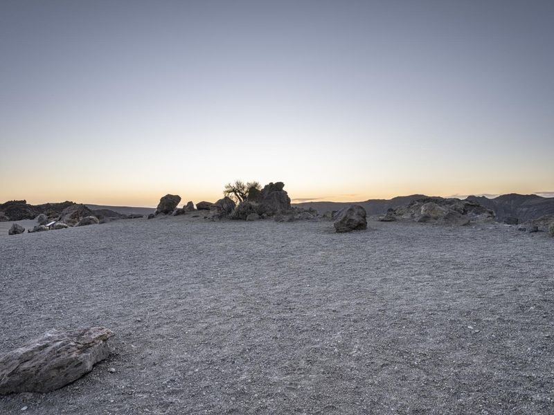Tenerife Desert Rocks Tree at Sunset HDRi Maps and Backplates