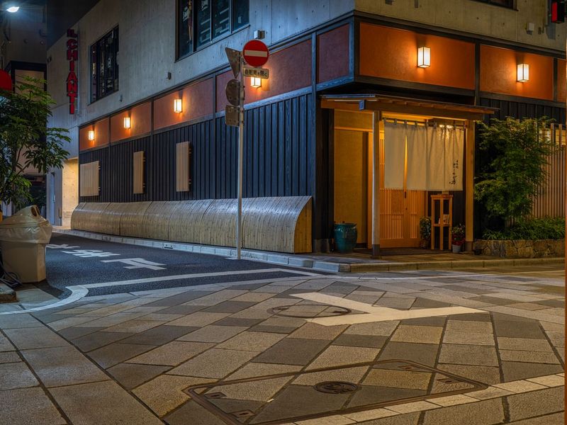 Tokyo City Night Life in Japan HDRi Maps and Backplates