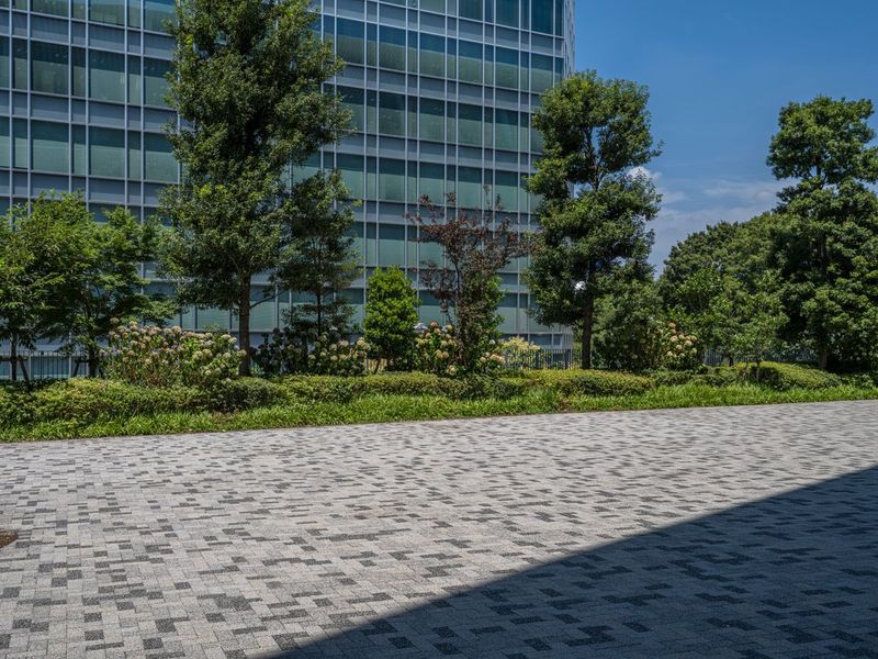 Tokyo City Life: Urban Design in Japan HDRi Maps and Backplates