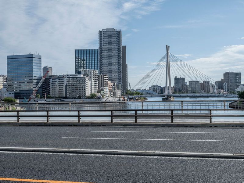 Tokyo, Japan: Modern Cityscape with Bridges and Armco Barriers
