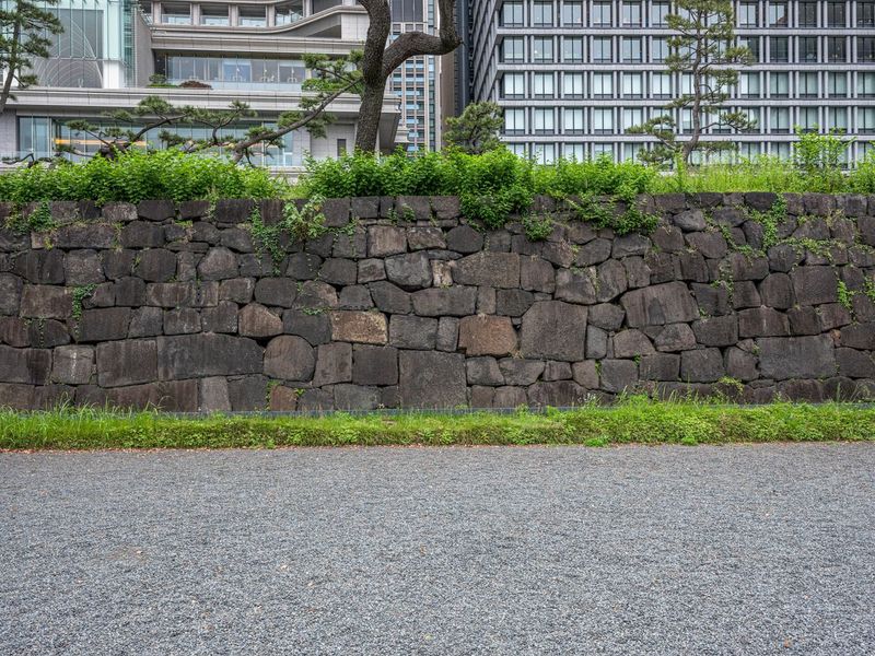 Tokyo's Modern Architecture: A Snapshot of City Life HDRi Maps and ...