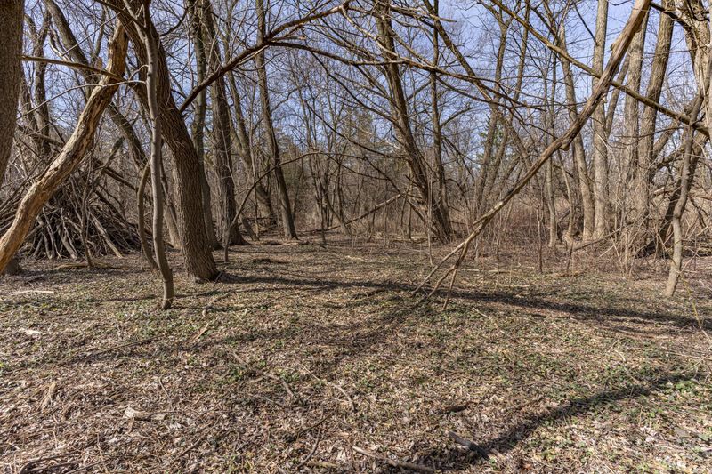 Toronto's Forest Landscape in Autumn - HDRi Maps and Backplates