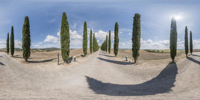 Tree Line Road in Tuscany, Italy - HDRi Maps and Backplates