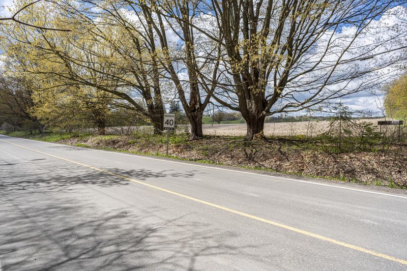 Tree-Lined Road in Ontario: Sunlight and Shade HDRi Maps and Backplates