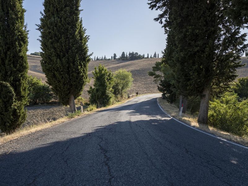 Tuscan Landscape: A Tree-Lined Road in the Heart of Italy HDRi Maps and ...