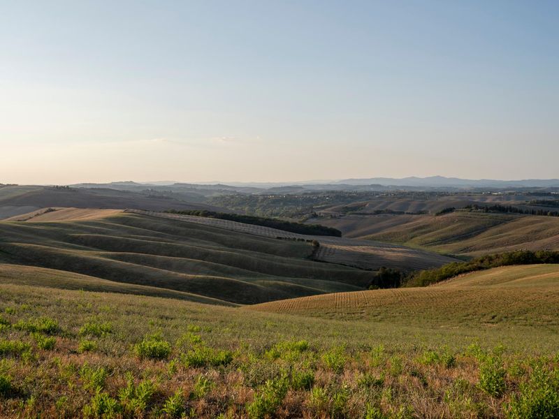 Tuscany Dawn Rural Road Landscape HDRi Maps and Backplates