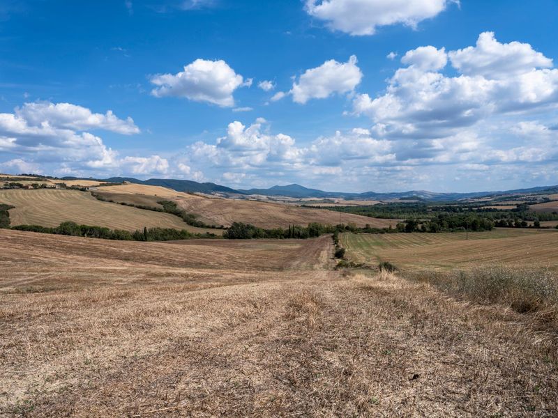 Tuscany Italy - Open Space Nature HDRi Maps and Backplates