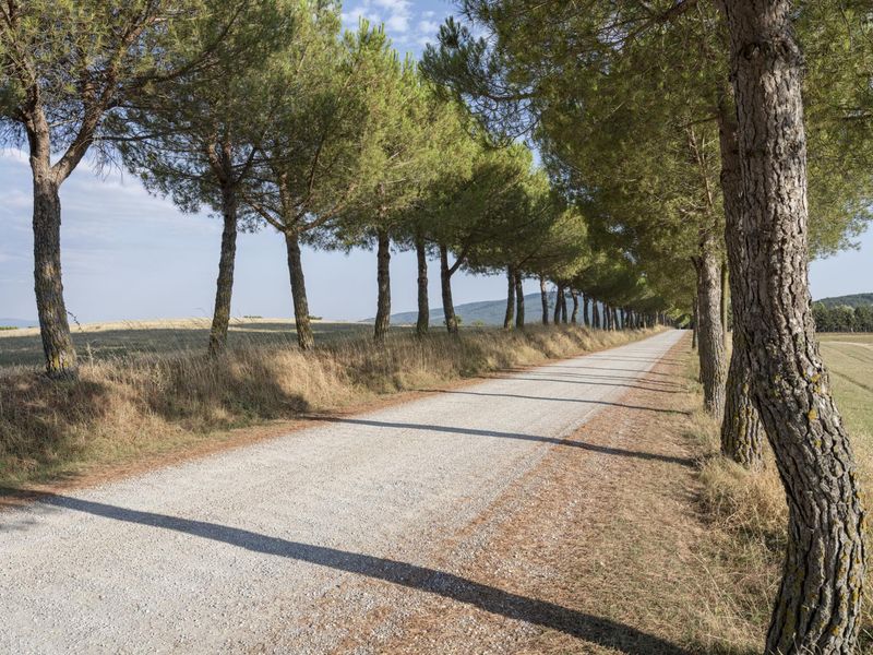 Picturesque Rural Lane in Tuscany, Italy - HDRi Maps and Backplates