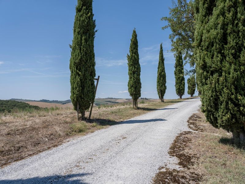 Tuscany Italy Rural Landscape with Gravel Road HDRi Maps and Backplates