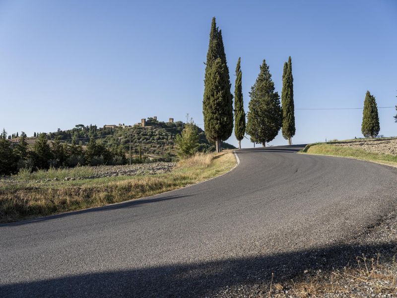 Tuscany Landscape: A Line of Cypress Trees HDRi Maps and Backplates