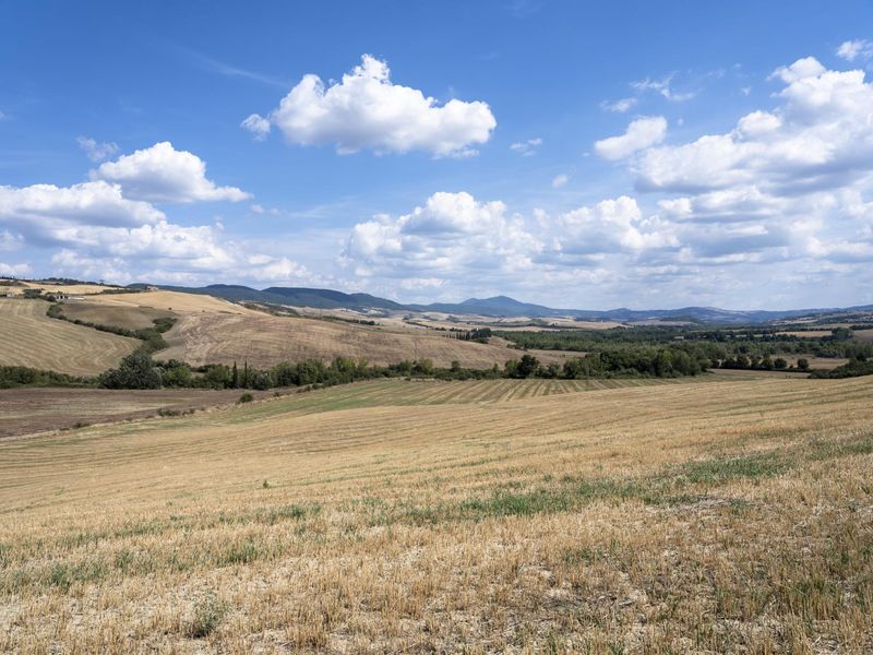 Tuscany Landscape: Rugged Highland Fields